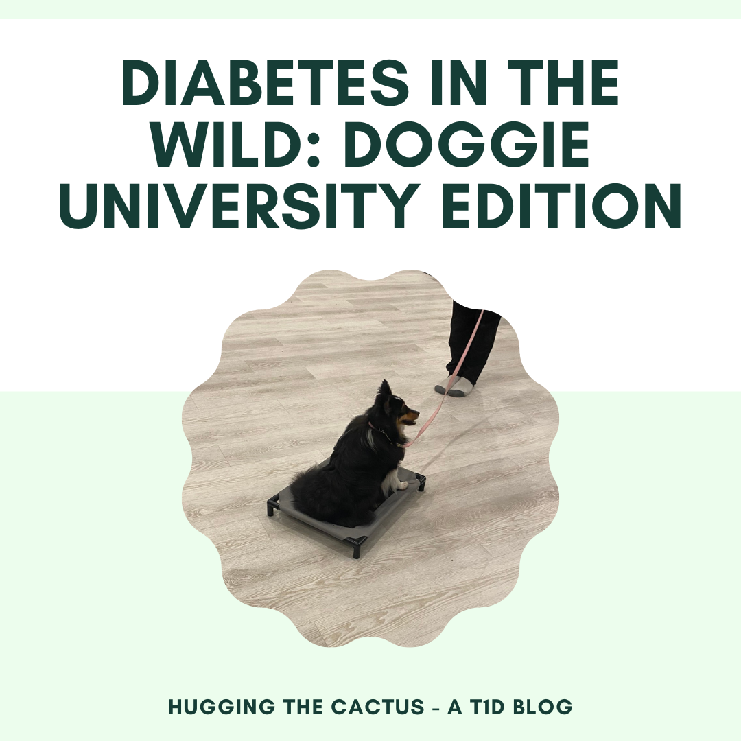 Diabetes in the Wild: Doggie University Edition – Hugging the Cactus